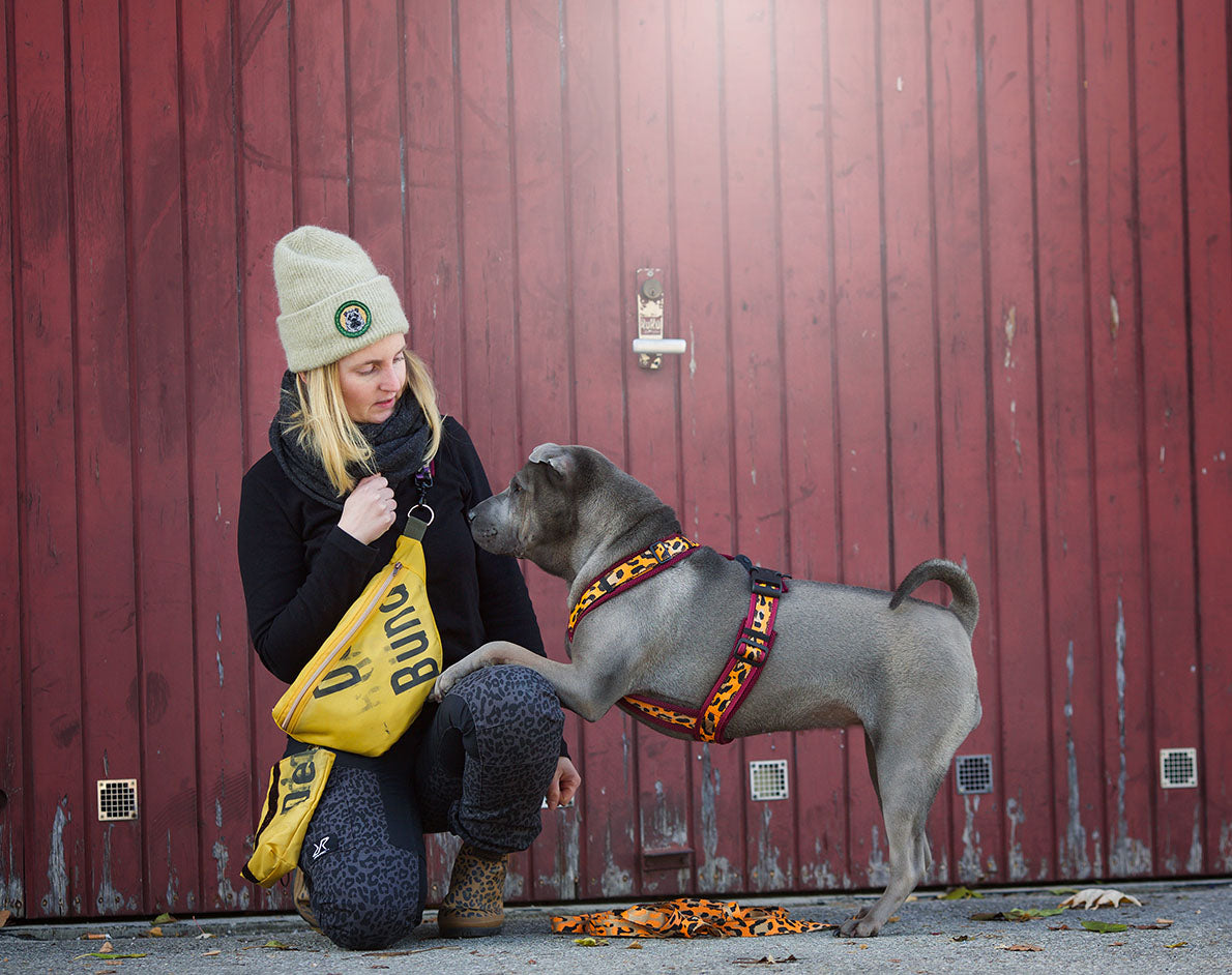 Gassi Bags – Edgy Pawfection